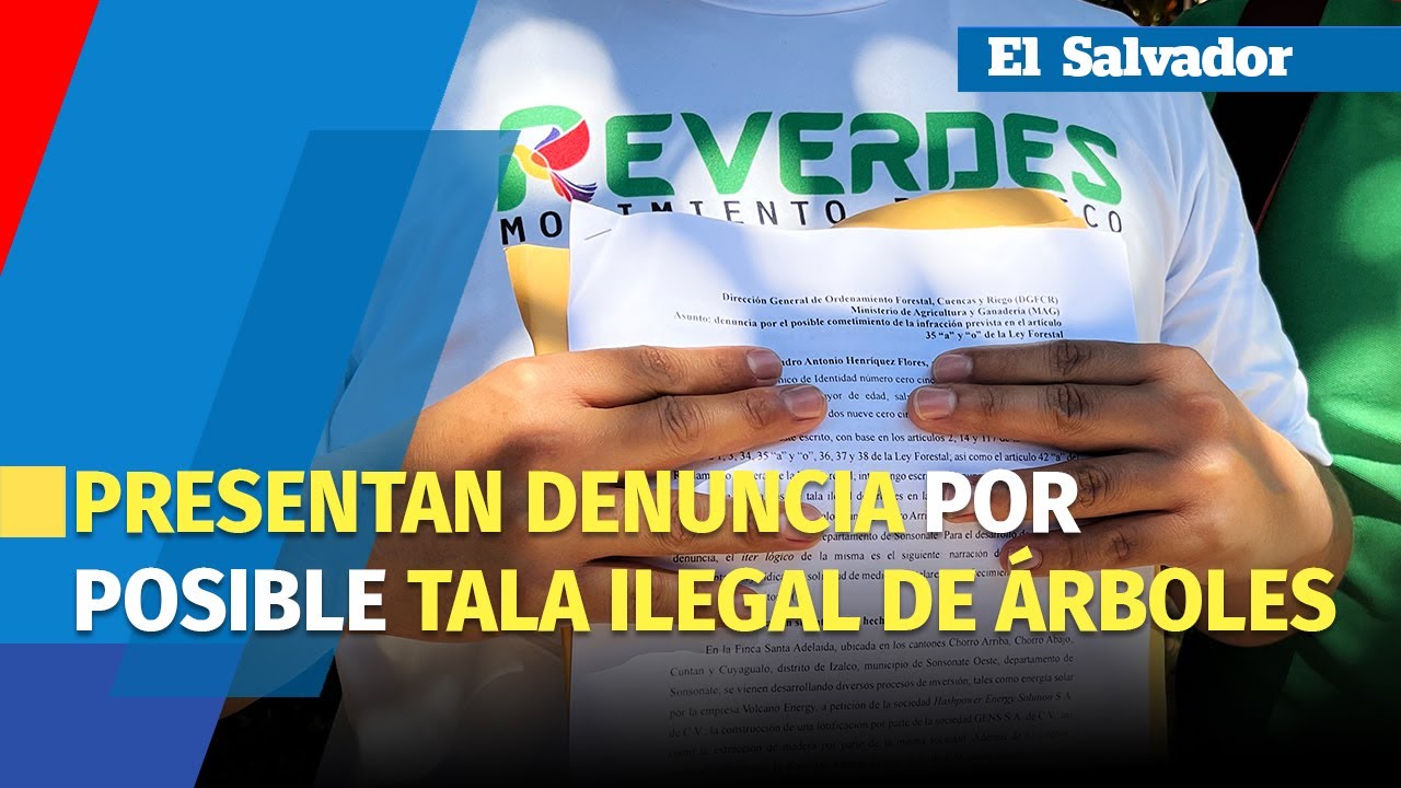 Denuncian ante MAG tala ilegal que afectaría bosque protegido - YouTube