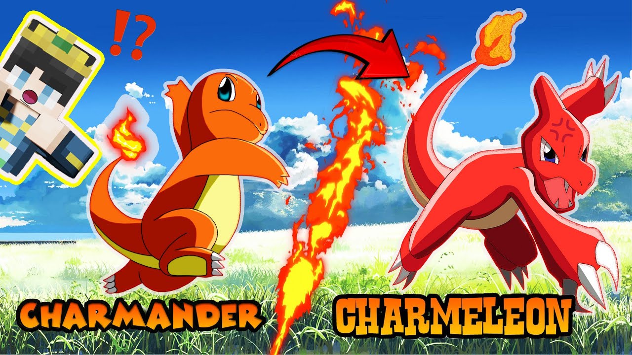 Ο CHARMANDER ΕΞΕΛΙΧΘΗΚΕ για να μας ΣΩΣΕΙ !!! #minecraft #pokemon - YouTube