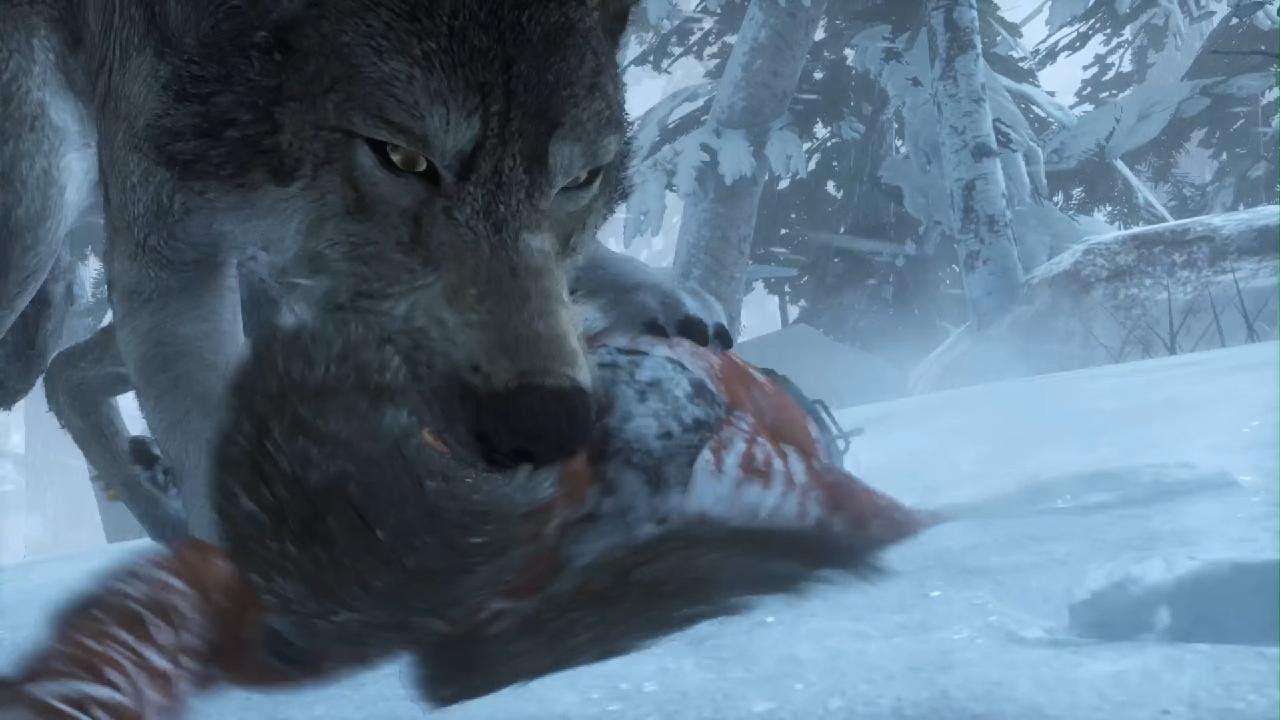 Wolf - Rise of the Tomb Raider - YouTube
