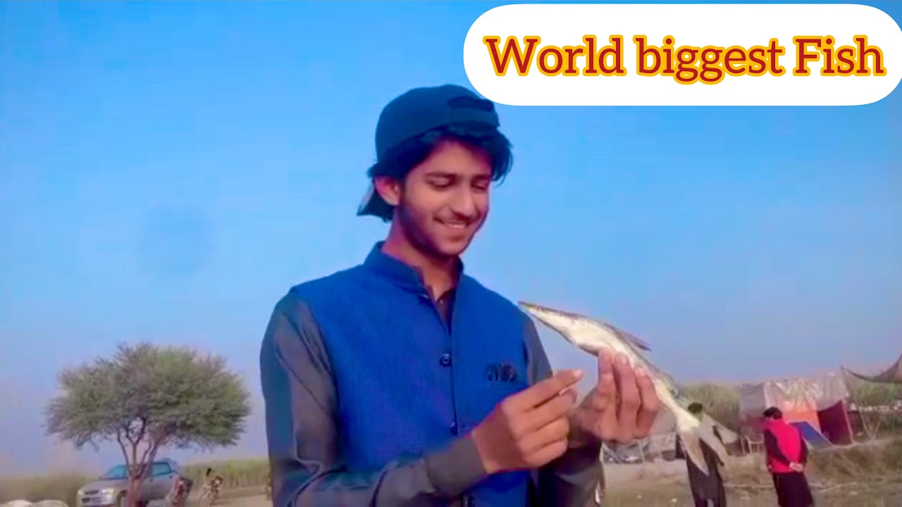 World Biggest Fish/ Dera ismail khan vlogs/2021 - YouTube