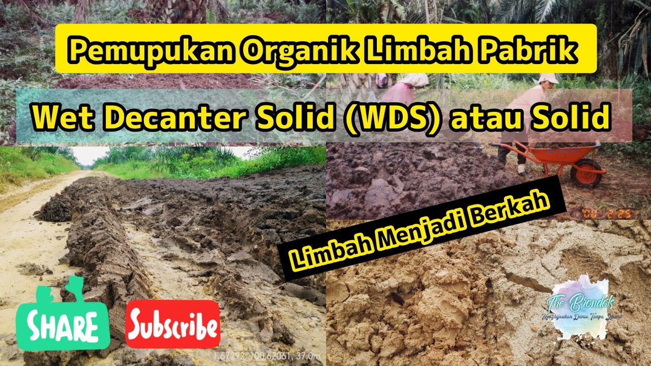 PEMUPUKAN ORGANIK LIMBAH PABRIK " SOLID" - YouTube