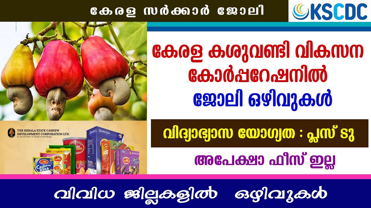 കേരള കശുവണ്ടി വികസന കോർപ്പറേഷനിൽ ജോലി ഒഴിവുകൾ /Kerala Govt jobs/KSCDC ...