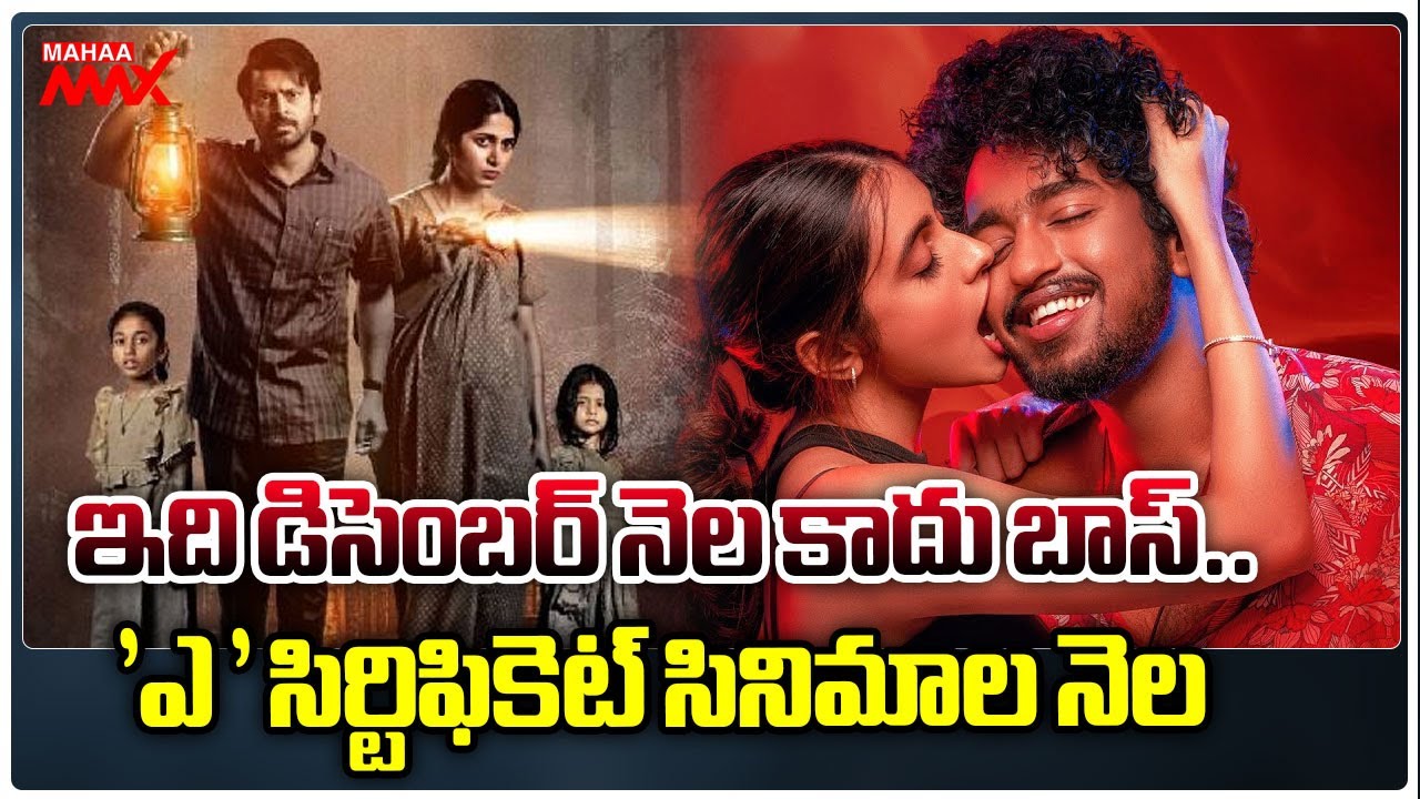 A Certificate Movies In December | Salaar | Animal | Prabhas | Ranbir ...