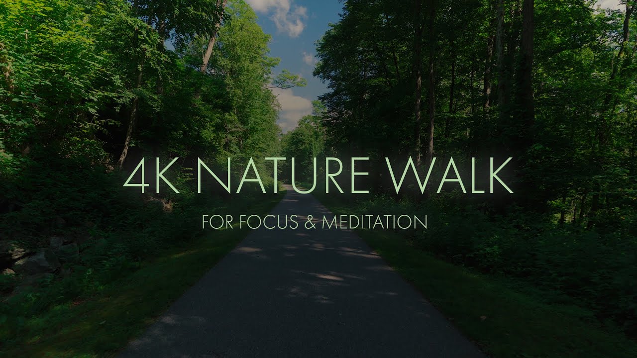 Relaxing 4K Nature Walk: Calming Ambient Sounds for Meditation & Study ...