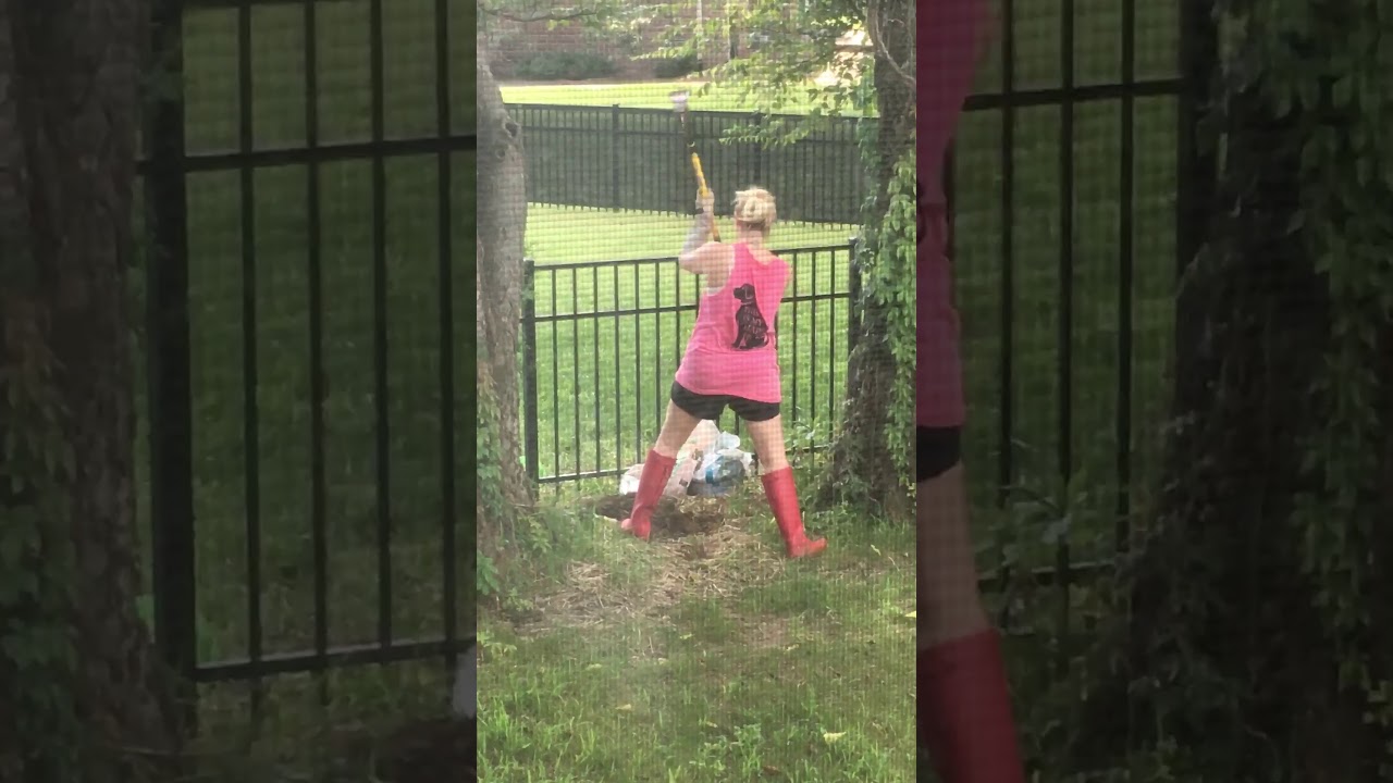 Crazy Neighbor - YouTube