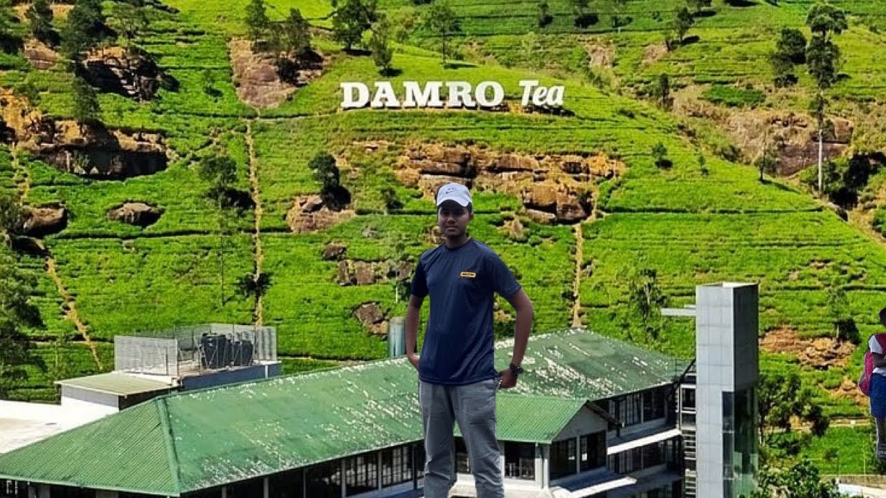 Damro Tea ☕️ Factory 🏭 | Nuwara Eliya | Sri Lanka 🇱🇰 | #hamedsview ...