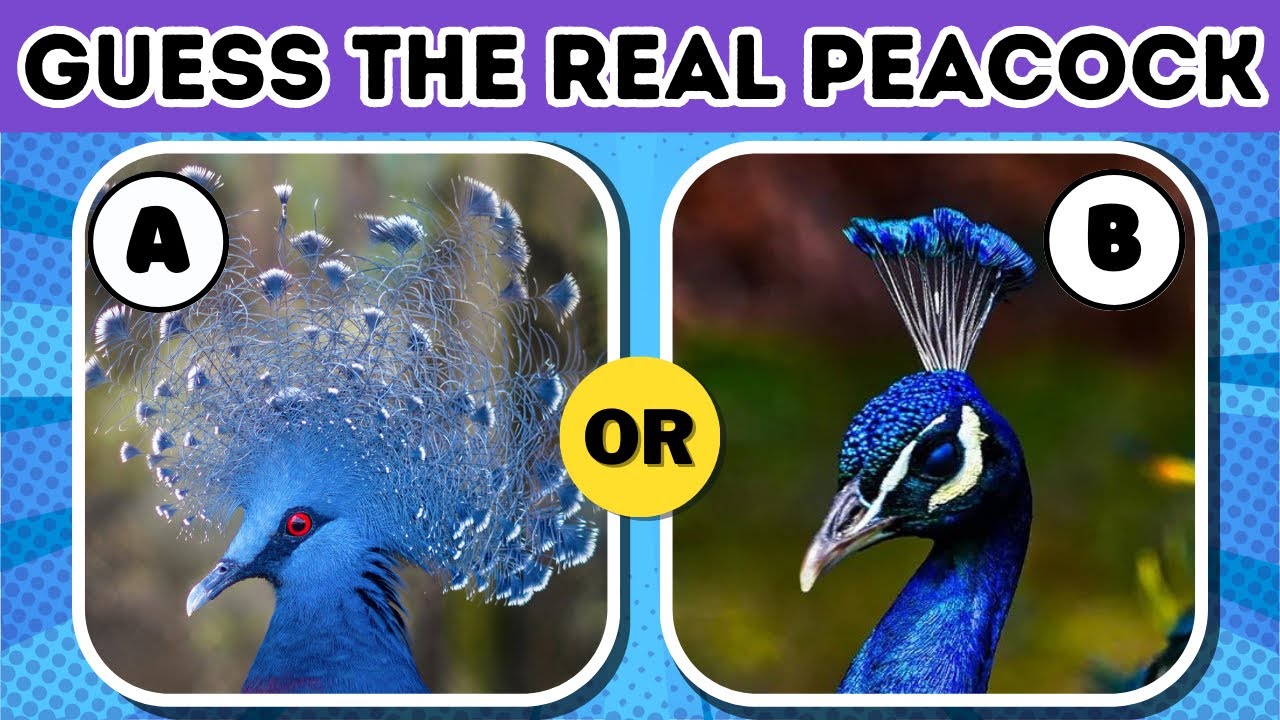 Can you guess the animal? #1 Animal Quiz - YouTube