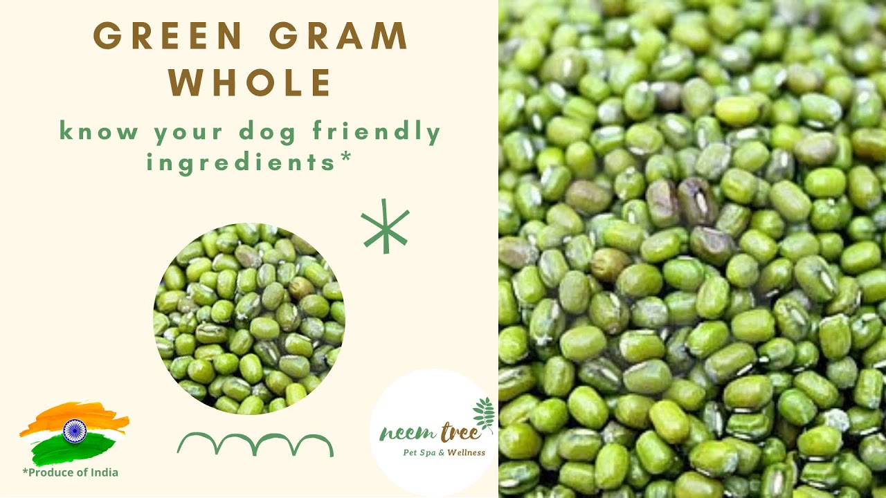 Green Gram Whole Dal - Home Cooked Dog Food - YouTube