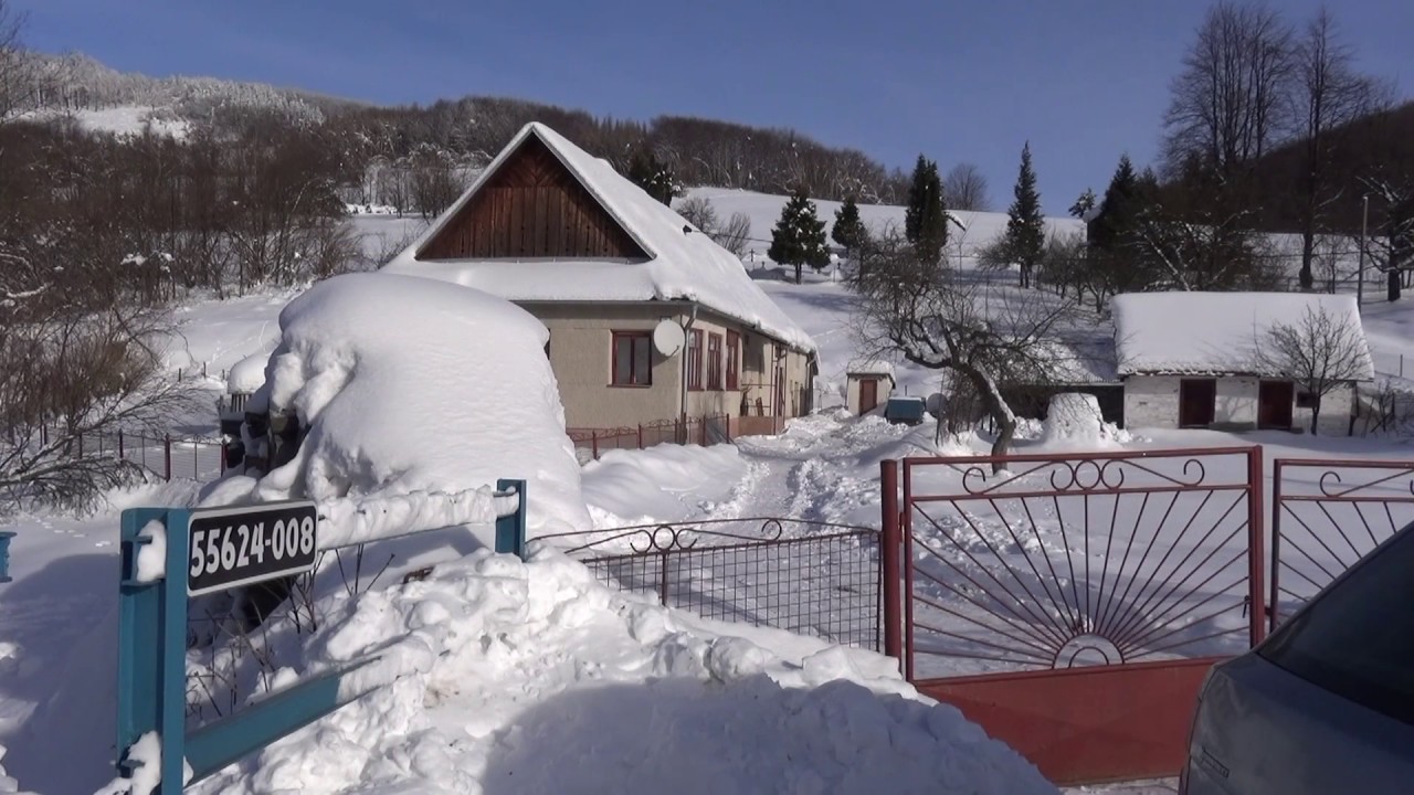 Havranec zasnežený - YouTube