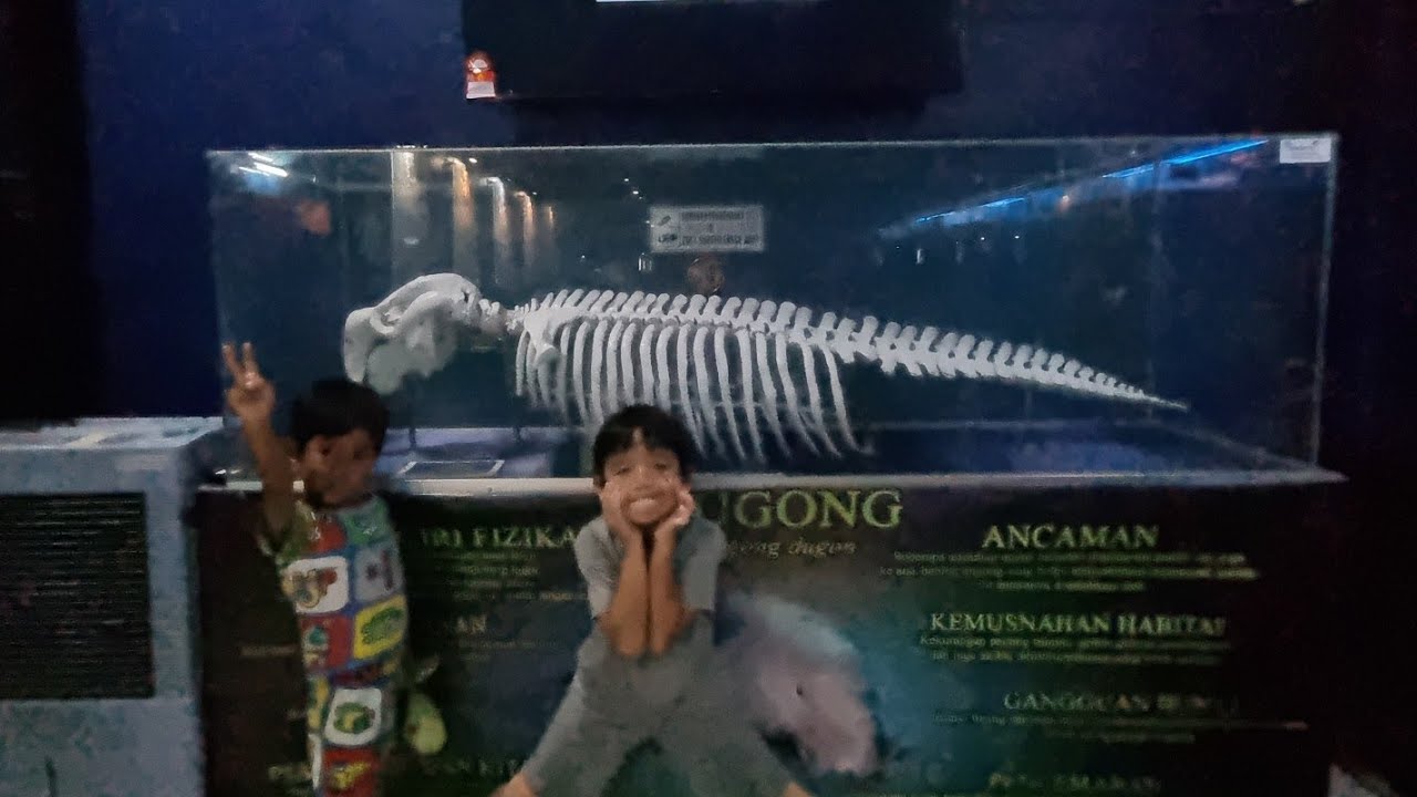 Akuarium Tunku Abdul Rahman, Batu Maung, Pulau Pinang. - YouTube