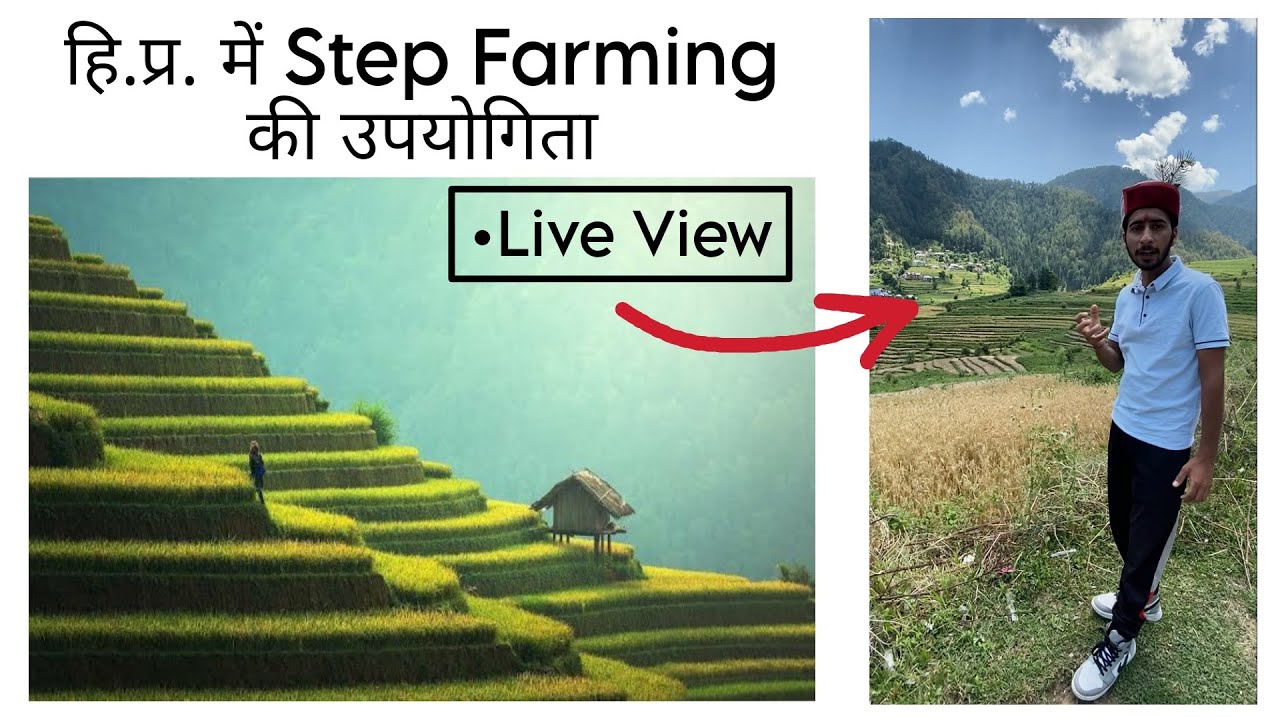हि.प्र. में Step Farming की उपयोगिता || Importance of Step Farming ...