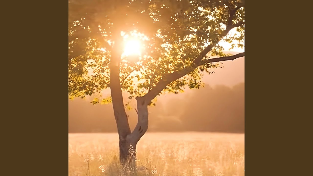 I love today - YouTube