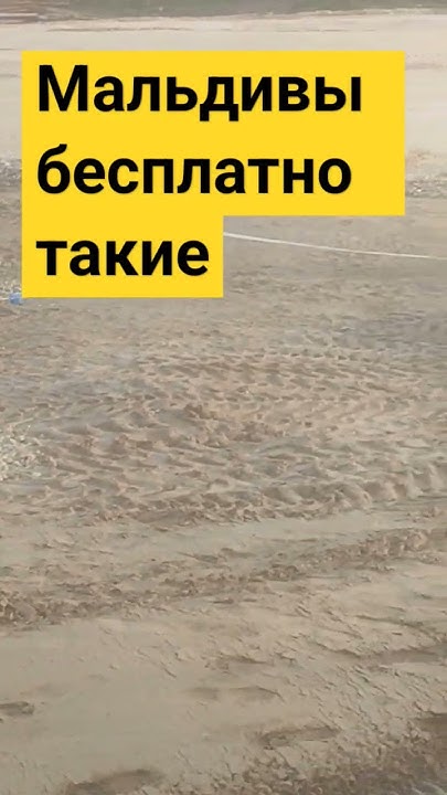 Когда очень хочешь в отпуск и не такое покажется юмор тренды Youtube