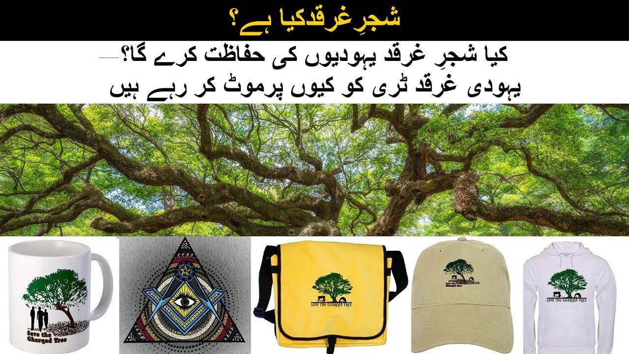 Reality of Gharqad tree II Why Israel Planting millions of boxthorn ...