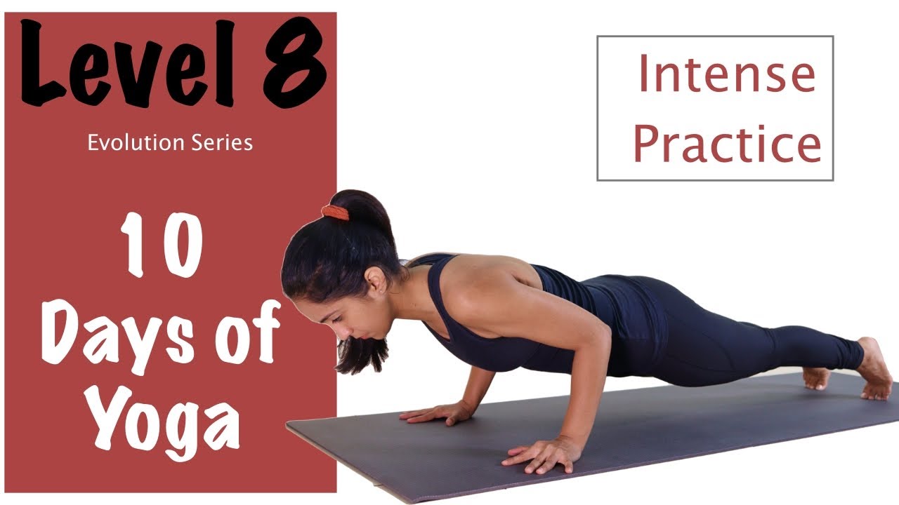Level 8 - Yoga For Beginners- Yoga Flows - Evolution Series - Yogbela ...