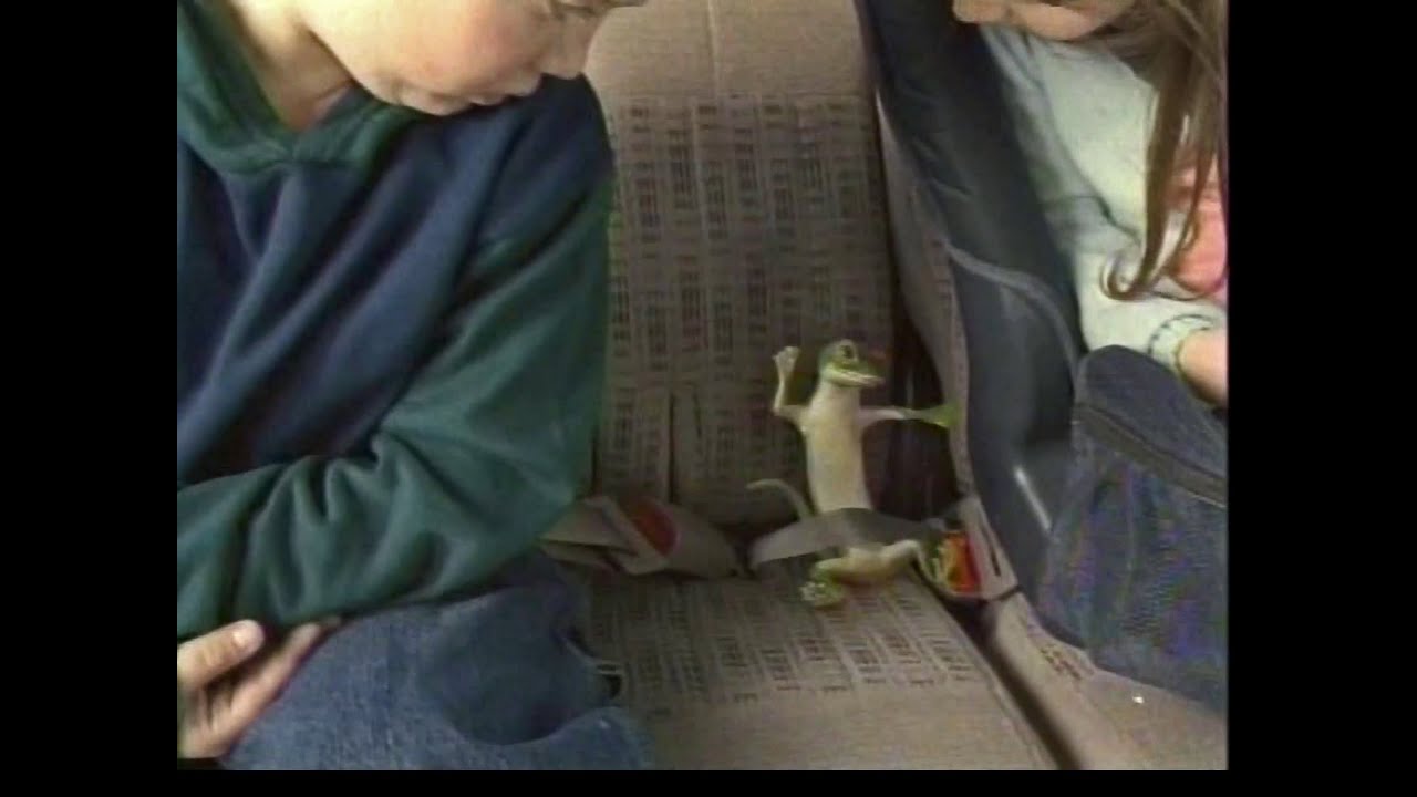 Geico Insurance (Family Road Trip Singing) Commercial, Nickelodeon NIKP ...