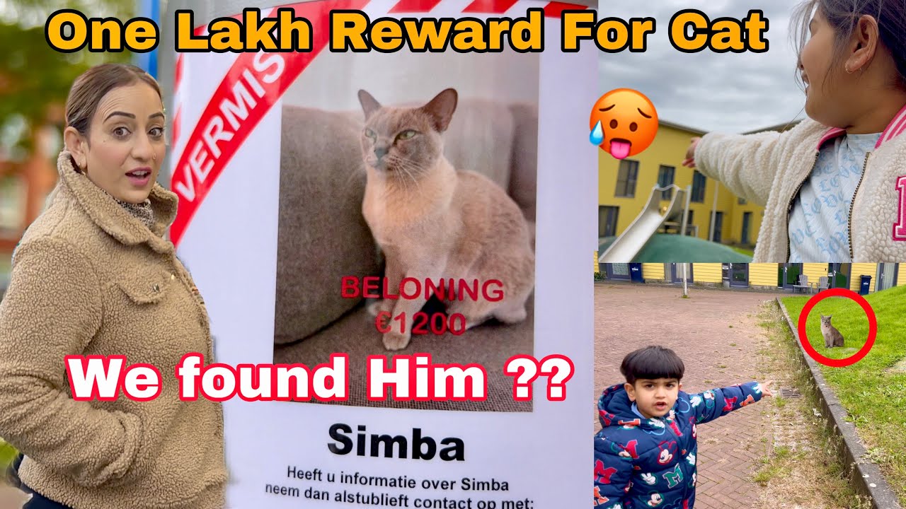 ️1.2 Lakh Reward For Cat 🤑🐈We Found Him 😳 Butt He...?🥵 European People ...