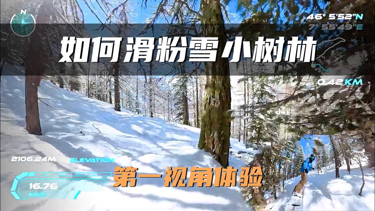5 Tips for Snowboard Trees in Powder - FPV - 第一视角野雪小树林，以及五个tips - YouTube