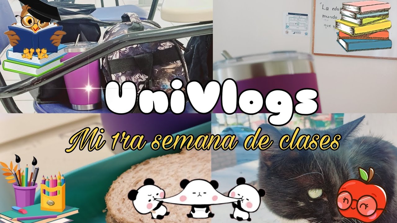 UniVlogs " Mi primera semana de clases "-Fatima Nuñez 👩‍🏫 - YouTube