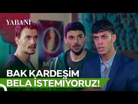 Asi'yi Ararken Kavgayı Buldular | Yabani 37. Bölüm