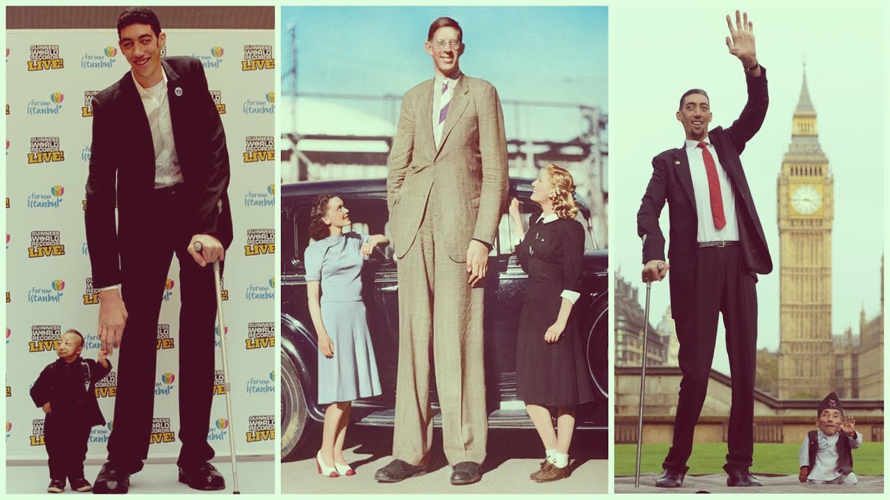 Tallest People In The World Above 8Ft - YouTube