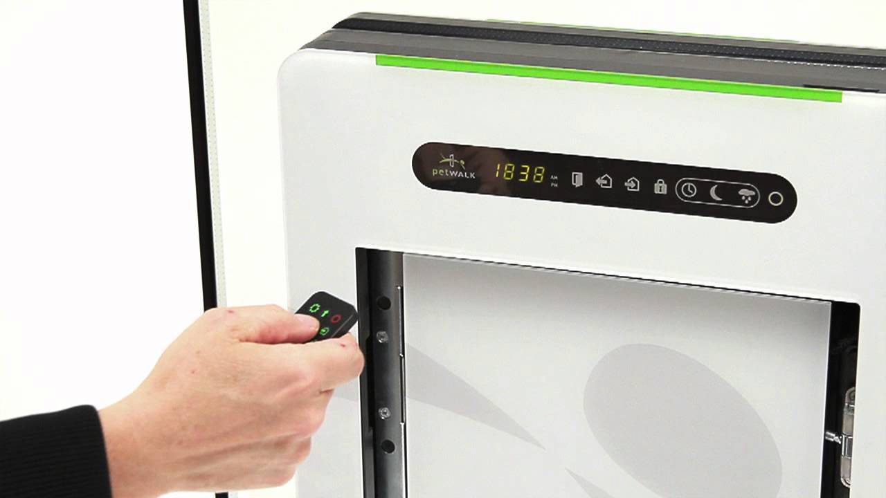 petWALK-Trailer.mpg - YouTube