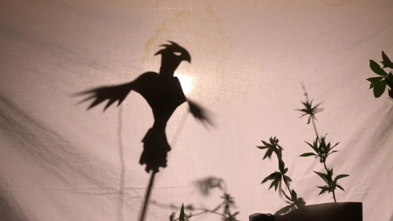 UB7 Creative Social S1E4 shadow puppets - Monster fishing - April 18 ...