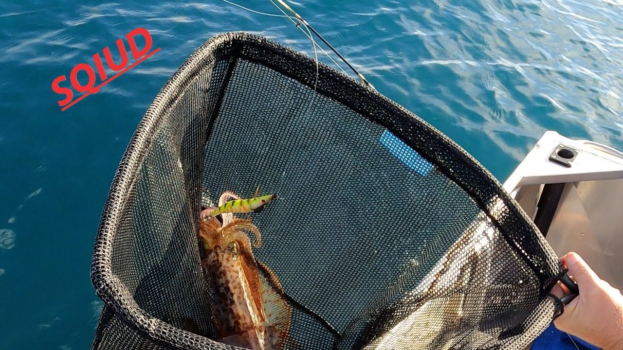 Fishing for squid off of Hillary’s boat Harbour (WA) - YouTube