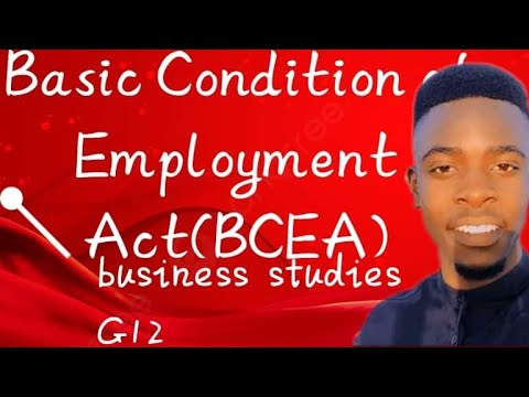 Basic Condition of Employment Act (BCEA) business studies grade 12 ...