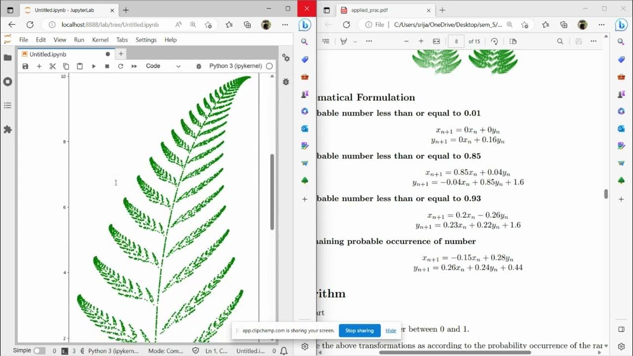 Fractal Fern in python, Barnsley fern in python - YouTube