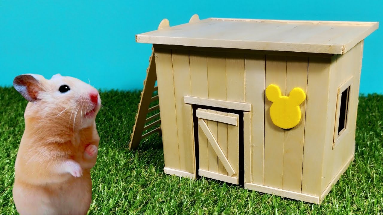 Cómo Hacer una Casa con Palitos de Helado para Hámster - YouTube