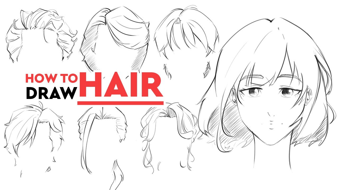 How to draw Hair (Beginner friendly) - YouTube