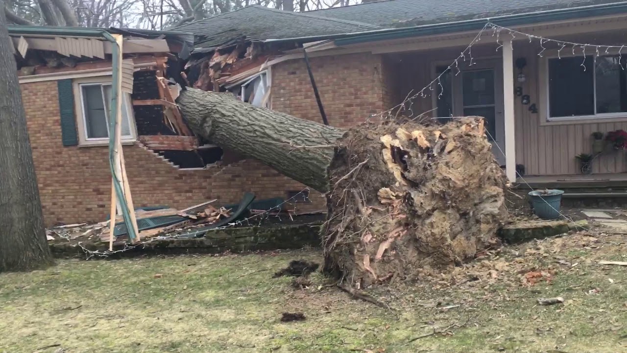 Tree crushes house in Akron - YouTube
