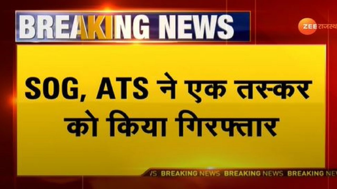 Zee Rajasthan Live TV : Apno Rajasthan | Latest Update | Zee Rajasthan ...