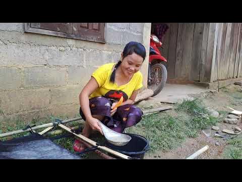 hnub no kuv niam wb hai ntawv ziab tshav ntuj nawb - YouTube