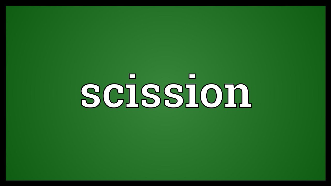 Scission Meaning - YouTube