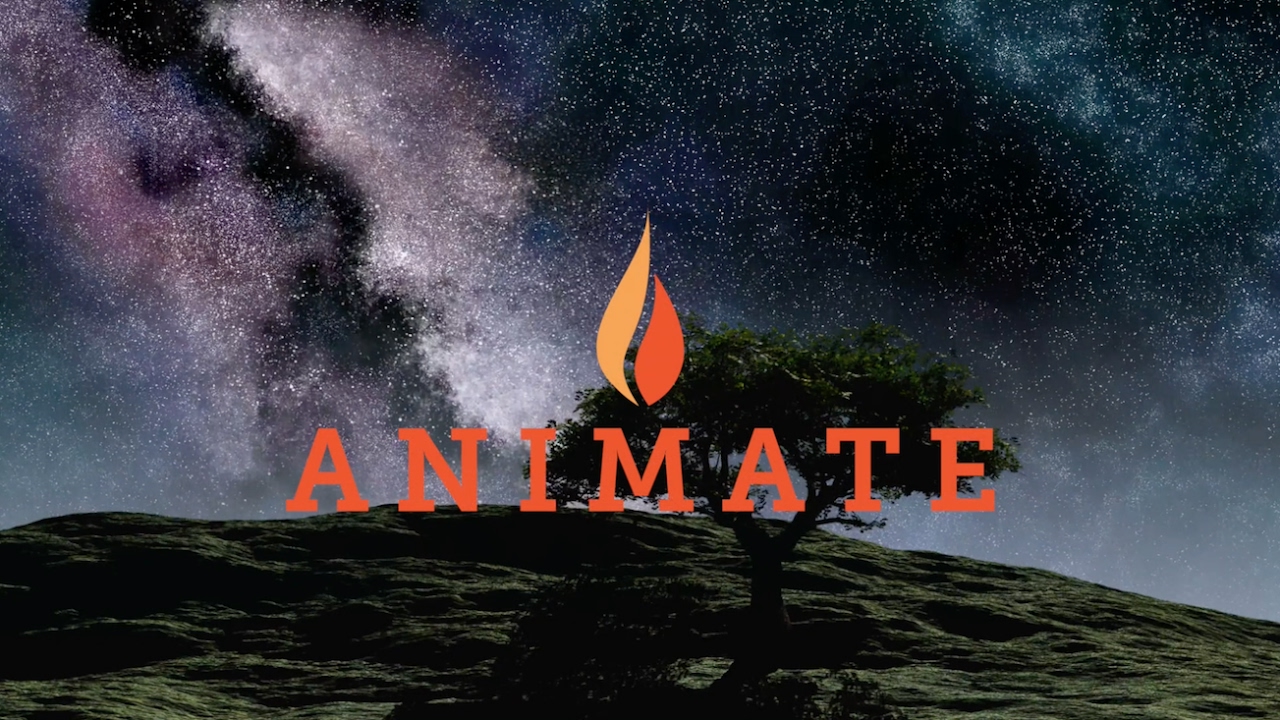 Animate Conference - Promotional Video - YouTube