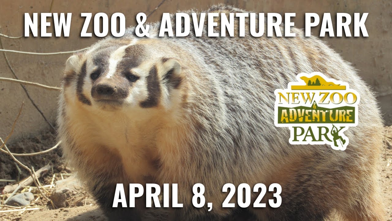 Northeast Wisconsin Zoo & Adventure Park | April 8, 2023 - YouTube