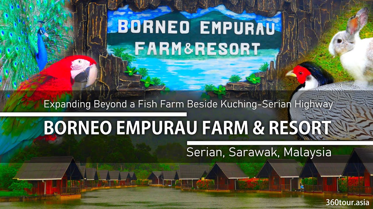 Borneo Empurau Farm & Resort, Serian - YouTube