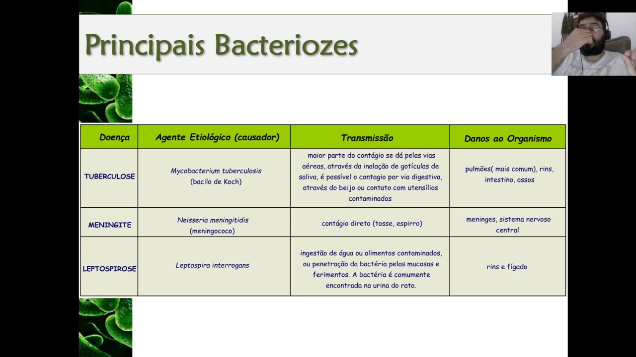 Bactérias 02 - Bacterioses, Cianobactérias e Arqueobactérias - YouTube