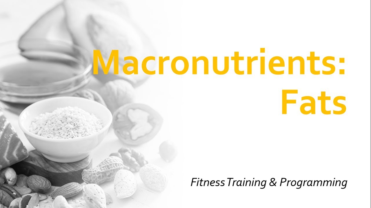 Macronutrients: Fats | Fitness Training & Programming - YouTube