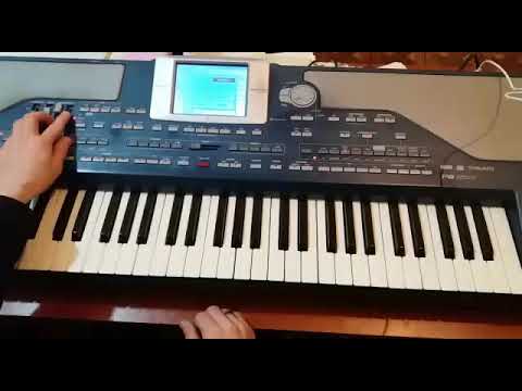 Mi Segah Akkordları .