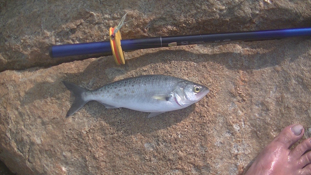 Flinders Island Camping and Fishing Summer 2020 - YouTube