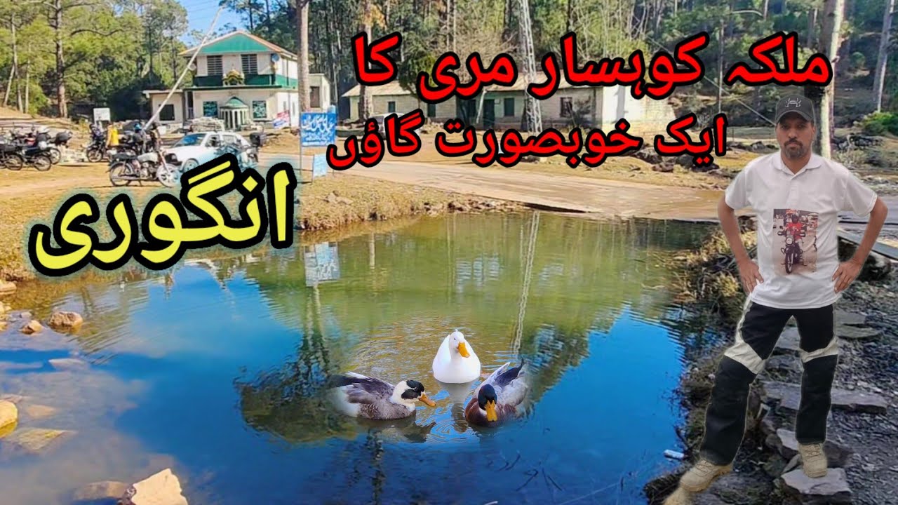 Angoori village | Malka E Kohsar Murree | 25December Ride Wah cantt To ...