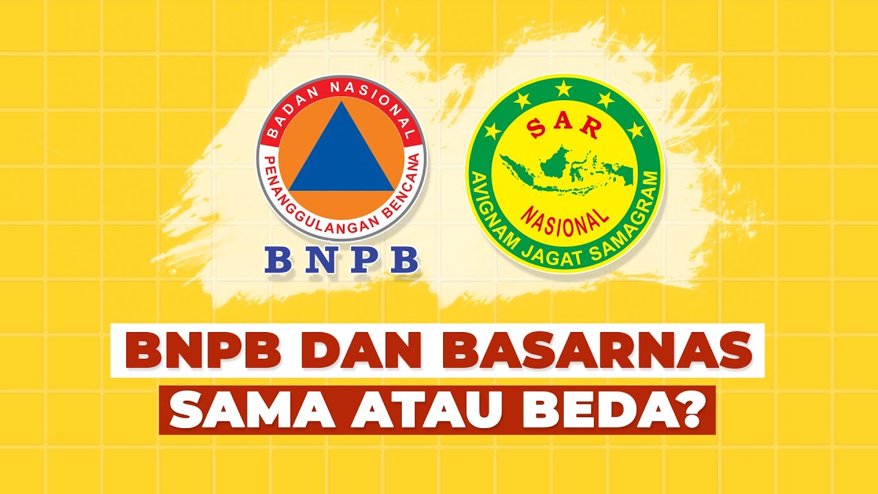 Sama-sama Andal Tangani Bencana, Apa Perbedaan BNPB dan Basarnas? - YouTube