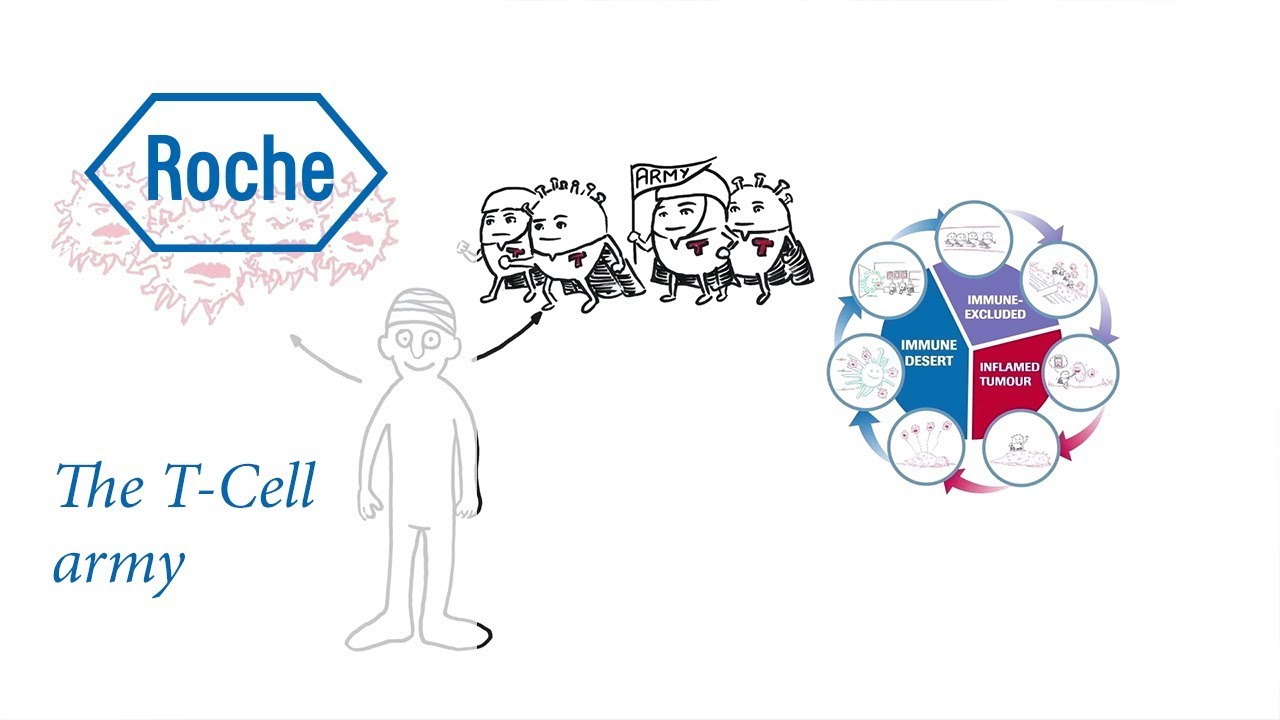 Unleashing the T-cell army | Cancer immunotherapy at Roche - YouTube