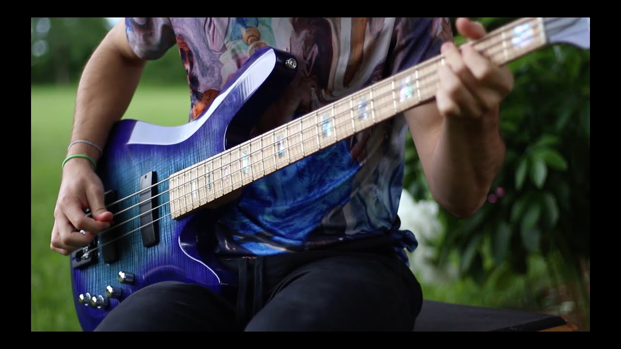 Polyphia | Euphoria (Bass Clip) - YouTube