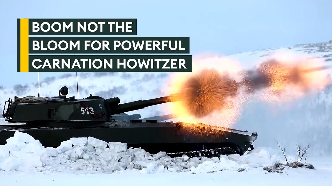 Gvozdika: Soviet-era Howitzer still packs a punch on Ukraine frontline ...