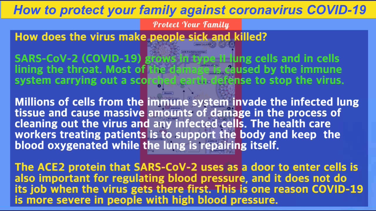 How Does The Virus Make People Sick And Killed? - YouTube