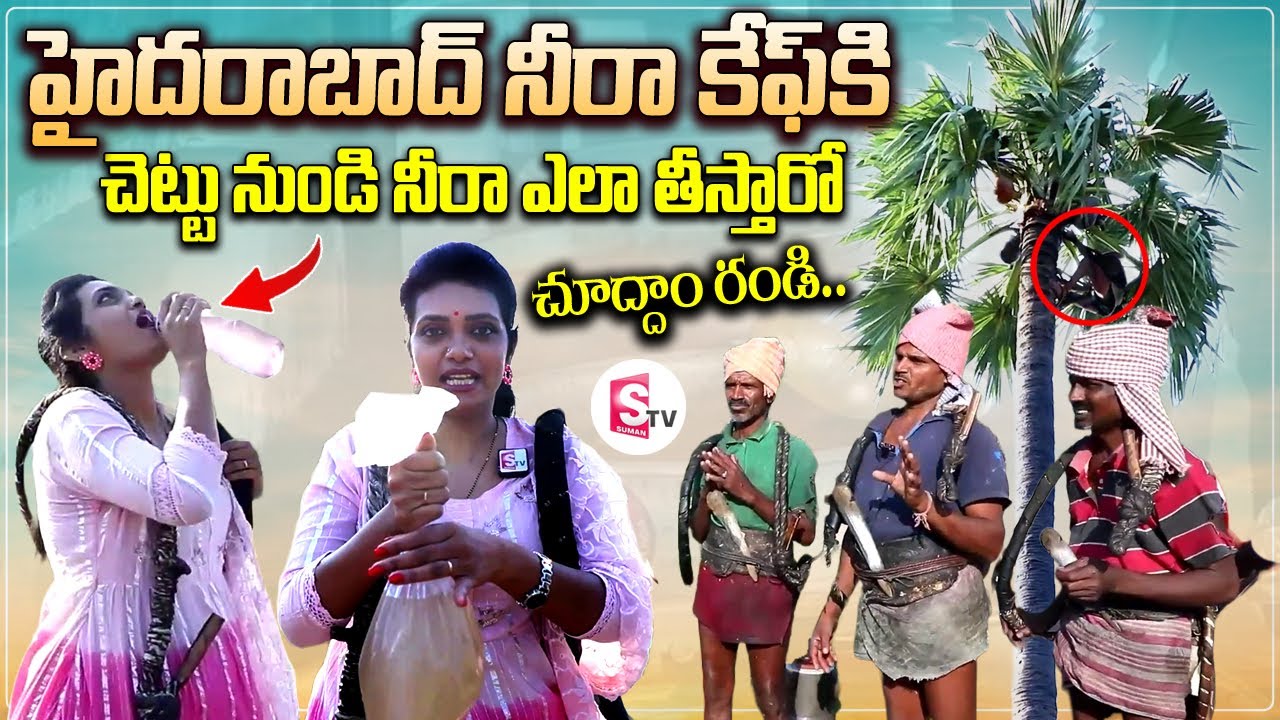 చెట్టు నుండి నీరా ఎలా తీస్తారో చూద్దాం రండి | Collecting Neera From ...